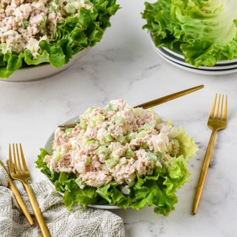 Raspberry Juice Recipe (Blender or Food Processor) - Clean Eating Kitchen