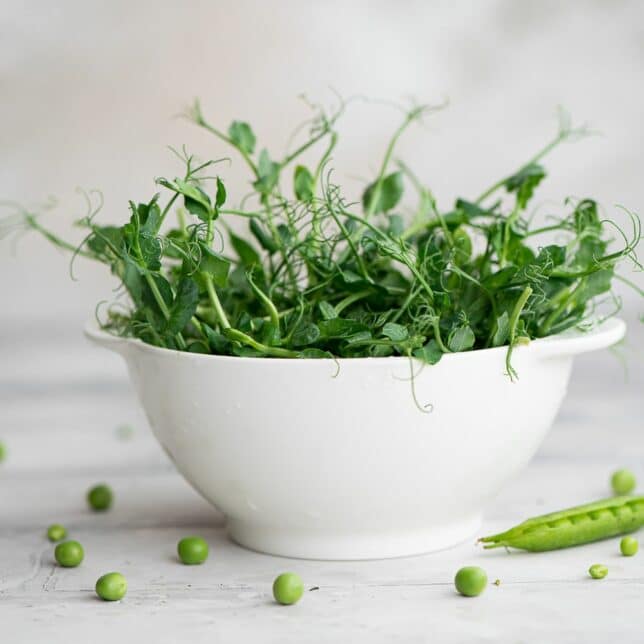 Spinach Microgreens 101: Benefits and How to Grow - Clean Eating Kitchen
