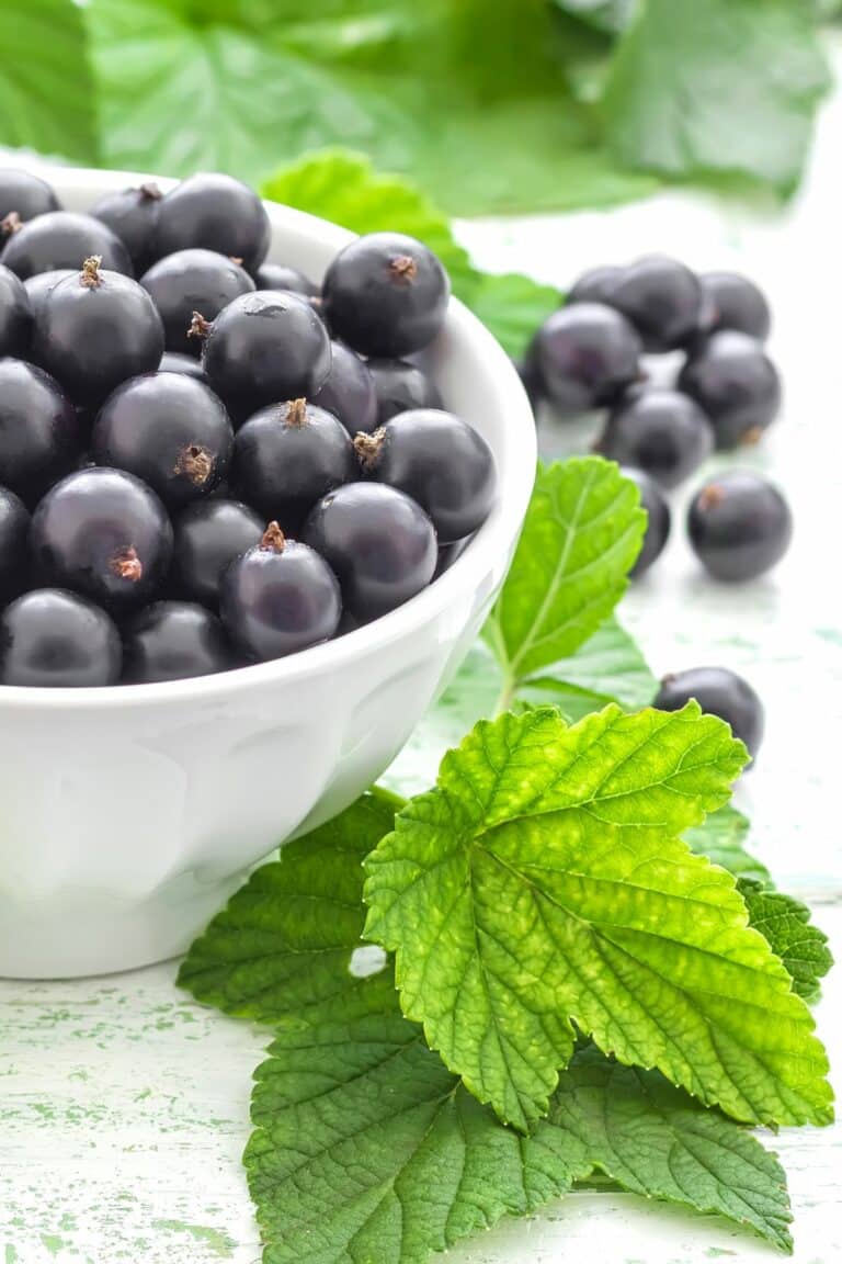 27+ Blue Fruits List (Naturally Blue Foods) - Clean Eating Kitchen