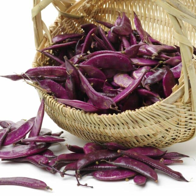 20+ Vegetables and Fruits That Start with J - Clean Eating Kitchen