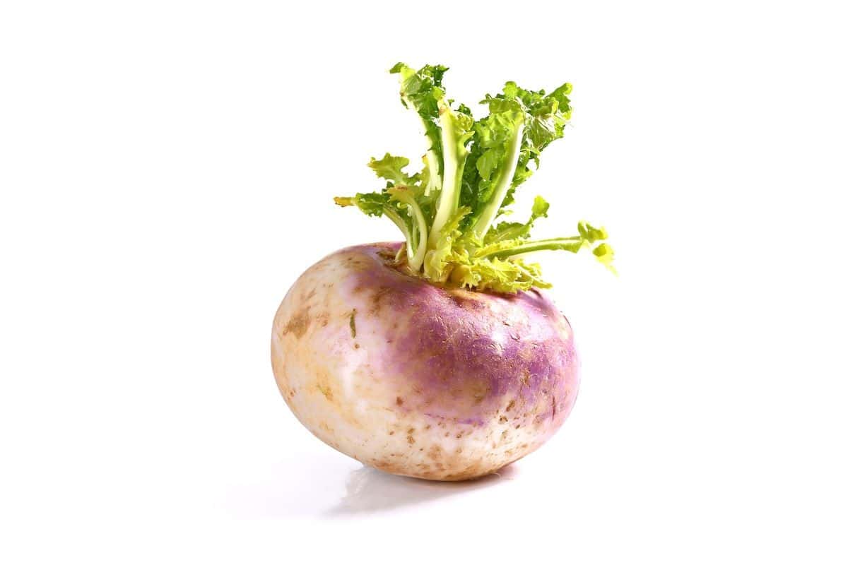 8 Substitutes for Turnips (Plus How Much to Use) - Clean Eating Kitchen