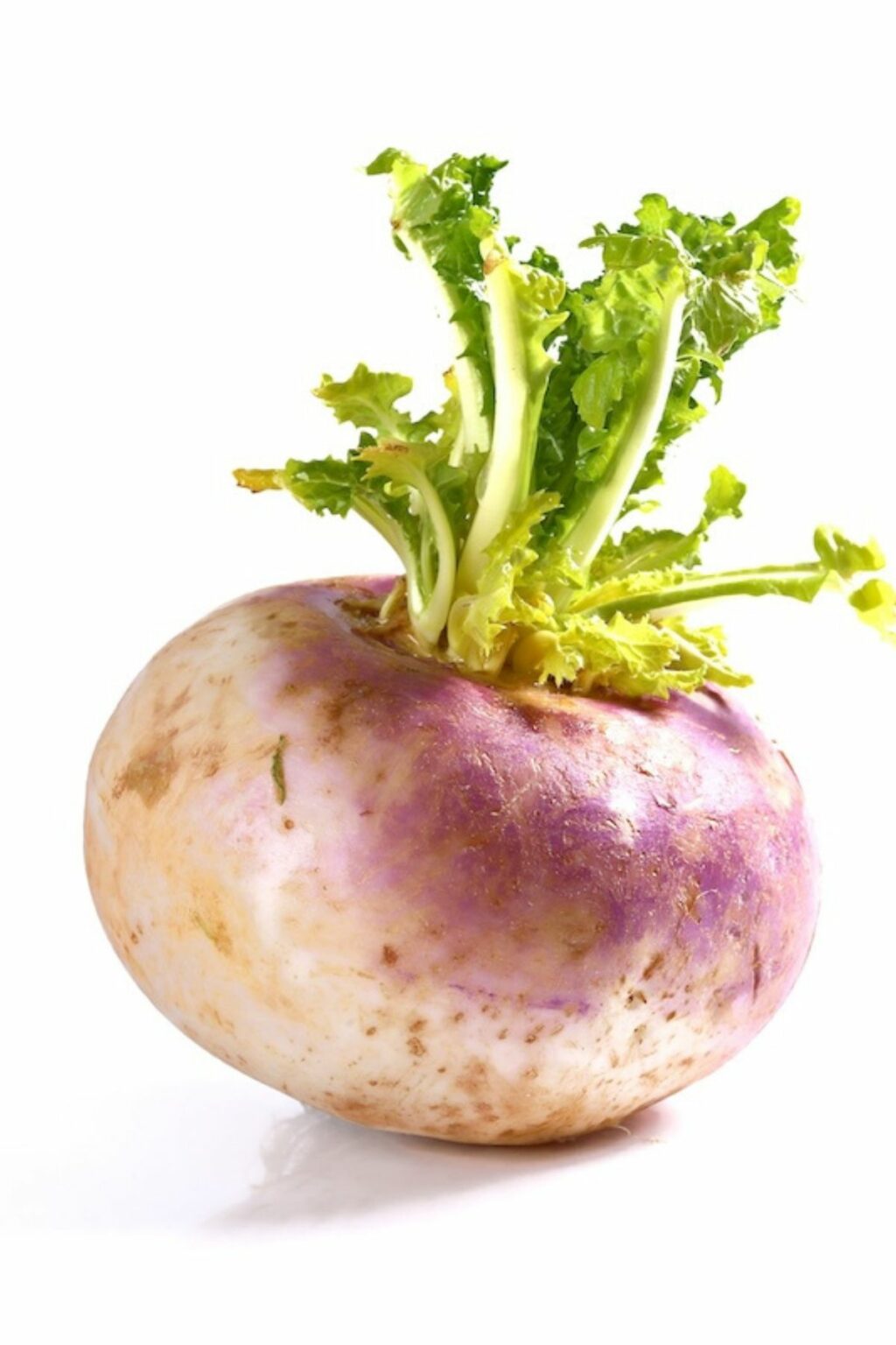 8 Substitutes for Turnips (Plus How Much to Use) - Clean Eating Kitchen