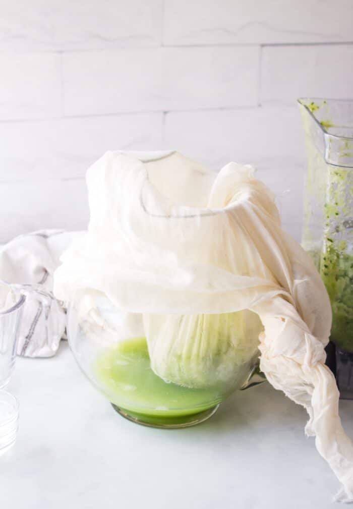 Cabbage Juice Recipe (Juicer or Blender) - Clean Eating Kitchen